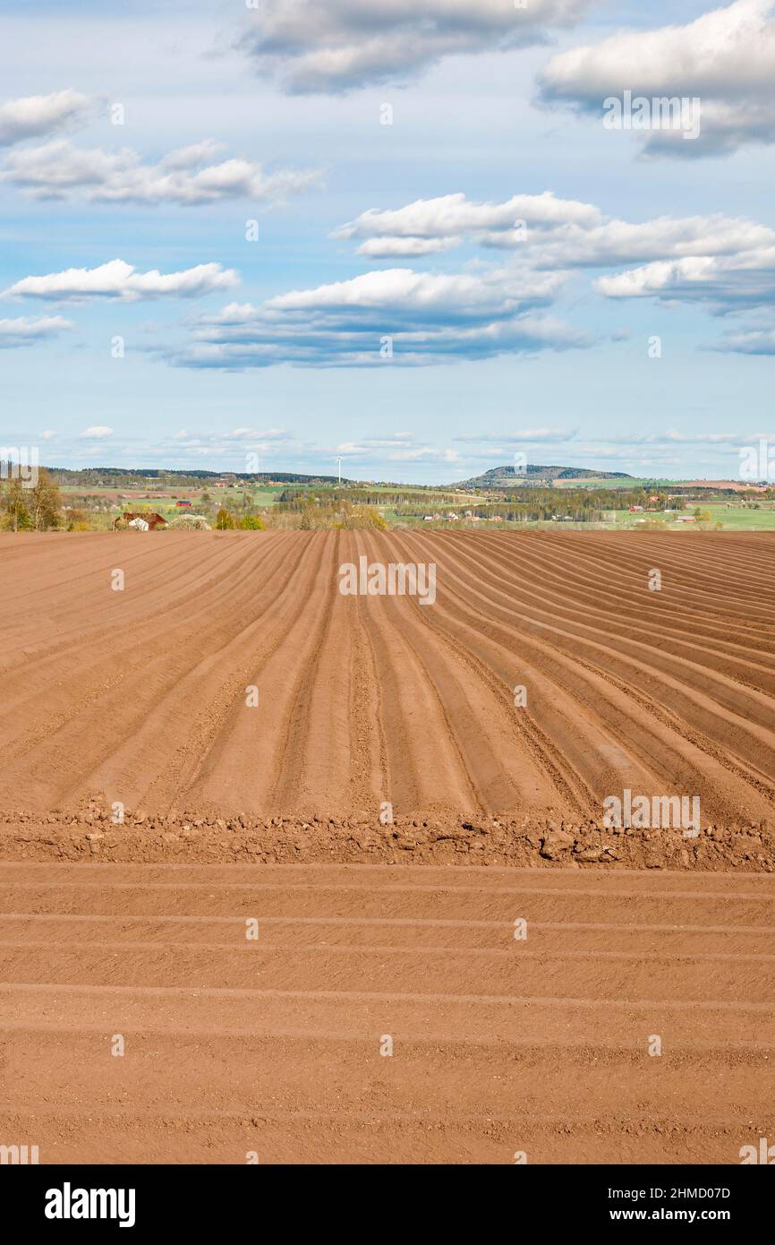 Rural landscape potato field hi-res stock photography and images - Alamy