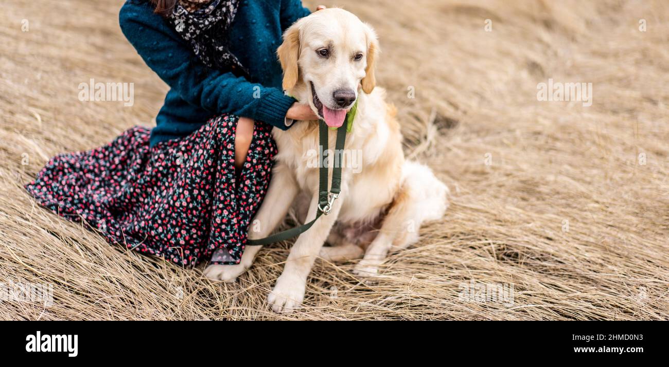 Golden retriever near female legs Stock Photo - Alamy