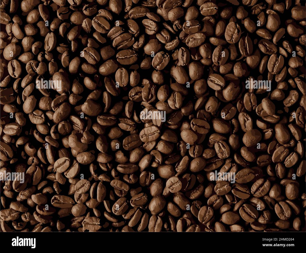 Vector realistic illustration of coffee beans. Premium quality cuban ...