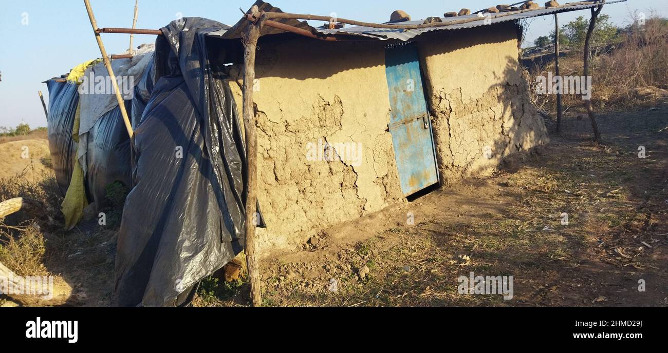 Old hut made by soil and wood in the forest Stock Photo - Alamy