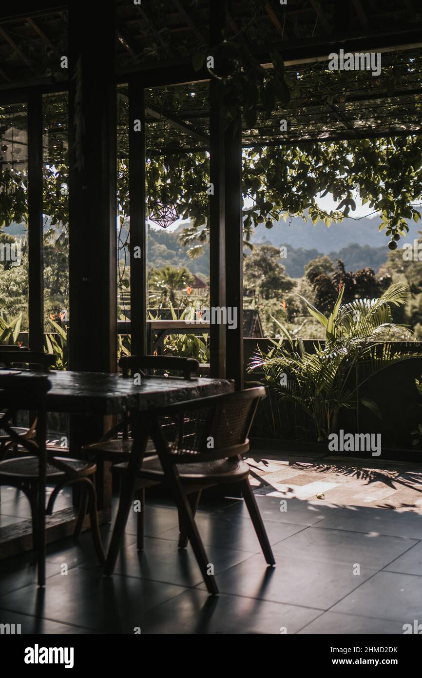 Bali cafe surrounded by greenery. Dining table and chair with greenery ...