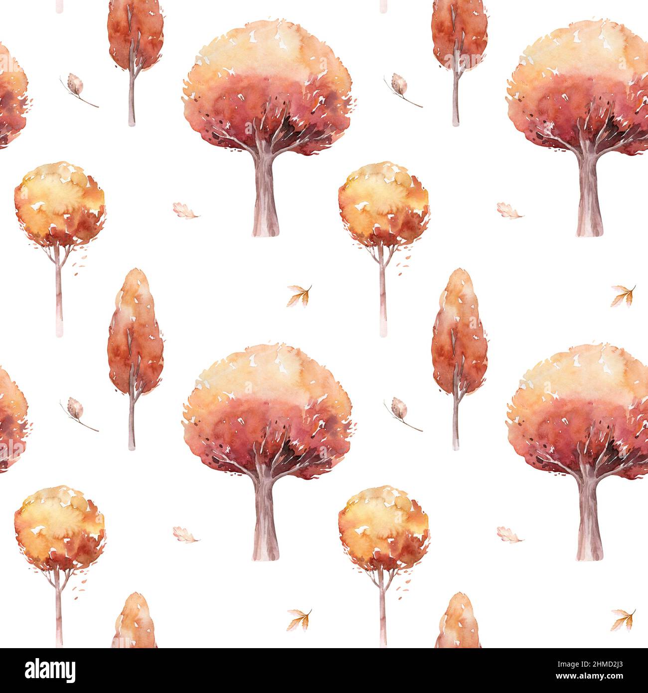 Ash tree botanical drawing hi-res stock photography and images - Alamy