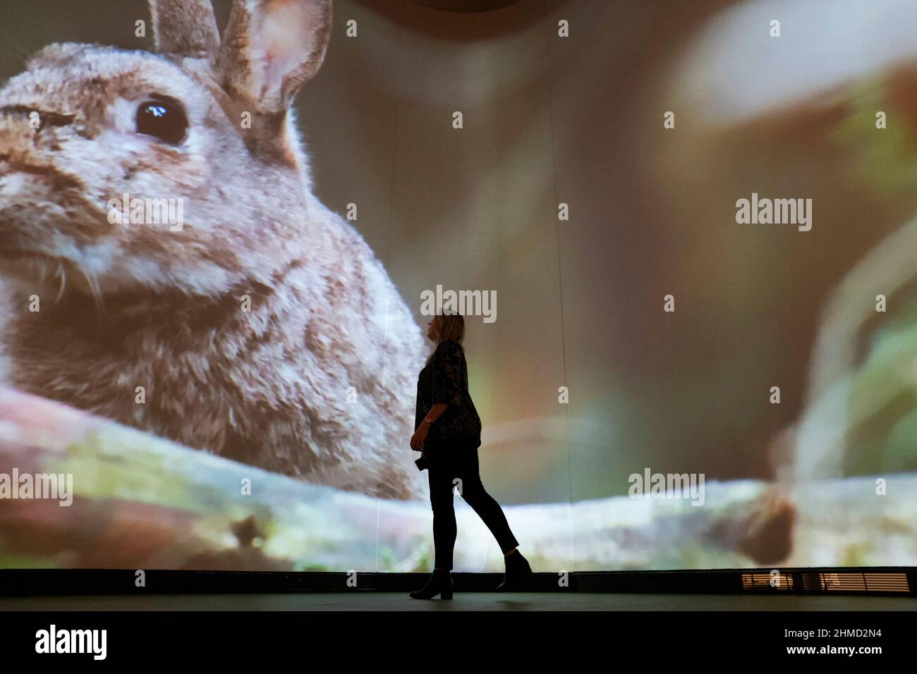 Exhibition beatrix hi-res stock photography and images - Alamy