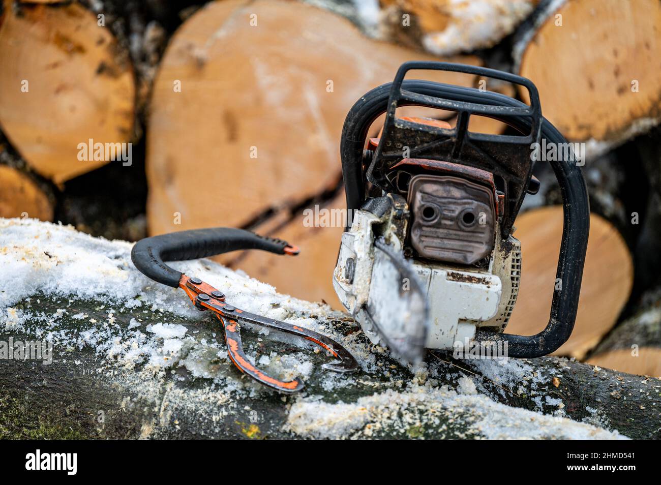 A lumberjack equipment. A chainsaw and a hand lifting tongs Stock Photo ...