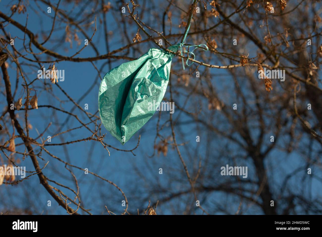 Balloon caught on branches. Deflated ball hangs from tree. Sad ...