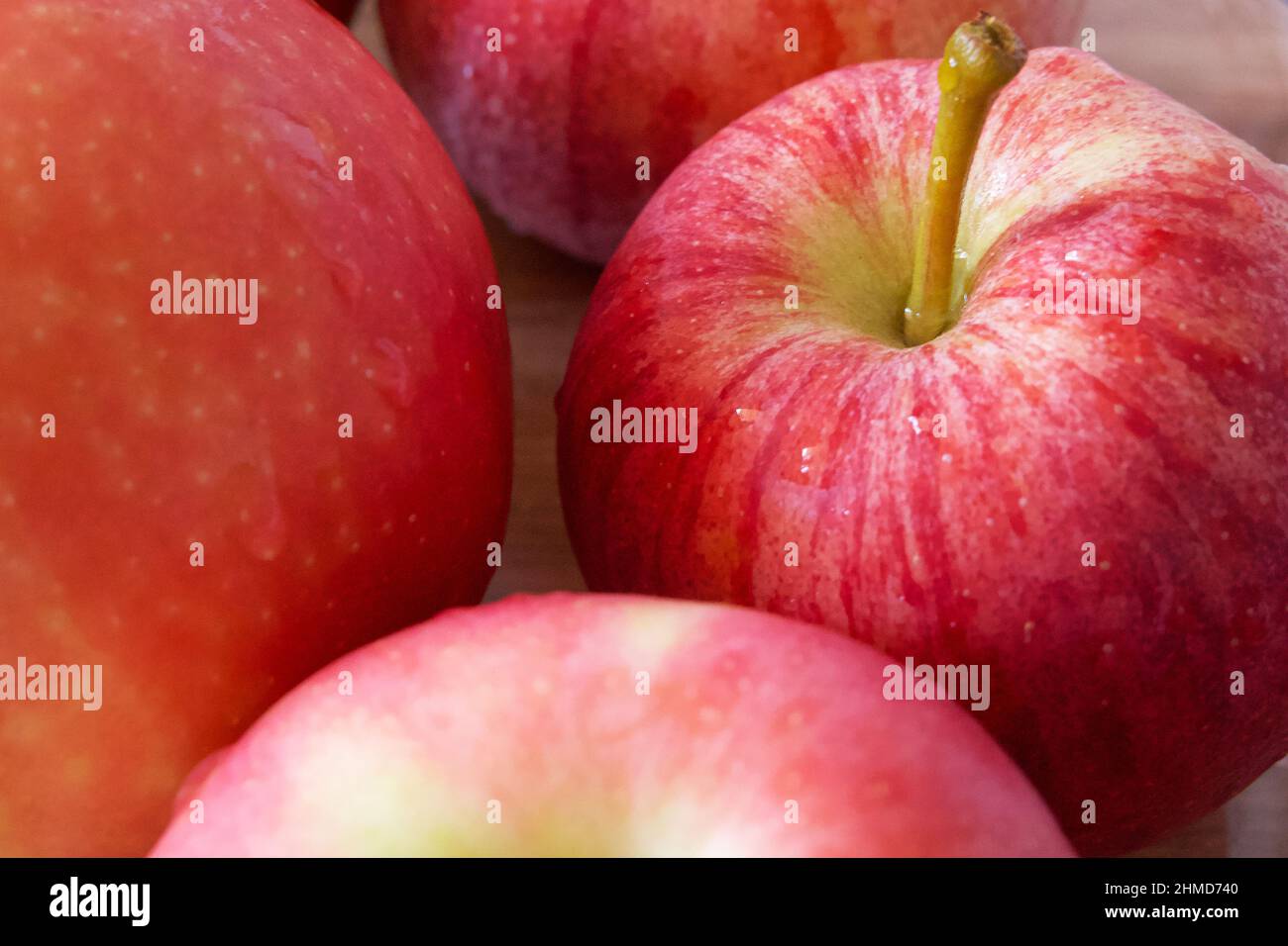 Macro photo of ripe red apples of gala and Ligol varieties. Apple close ...