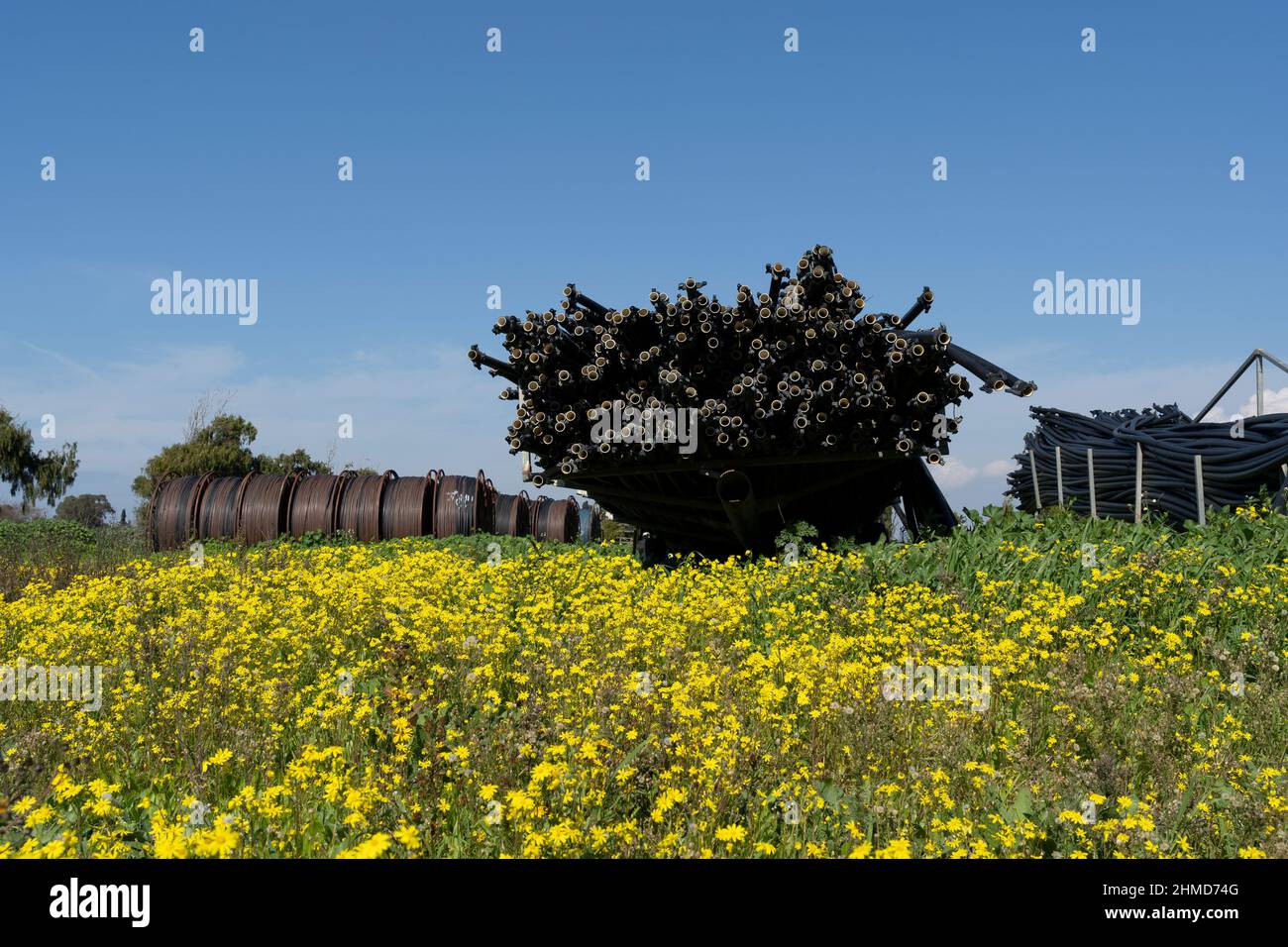 Drip irrigation at field in israel hi-res stock photography and images ...