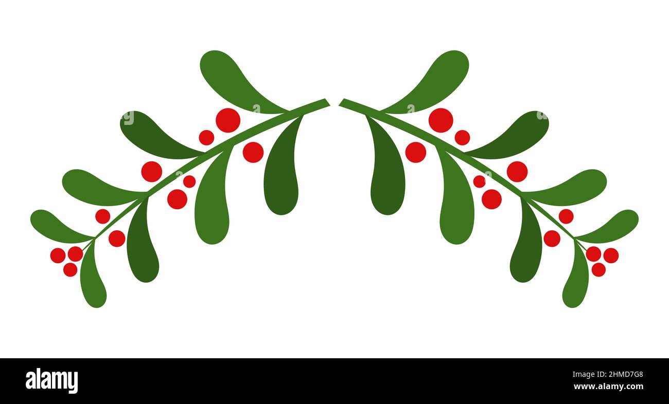 Mistletoe Branch Vector