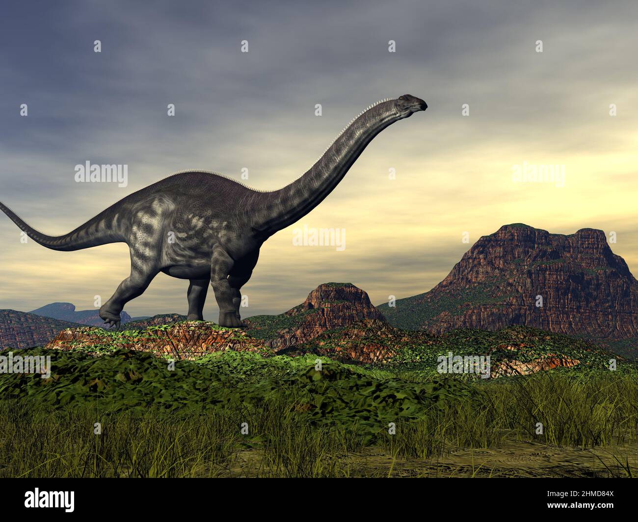 Apatosaurus dinosaur herbivorous sauropod hi-res stock photography and ...