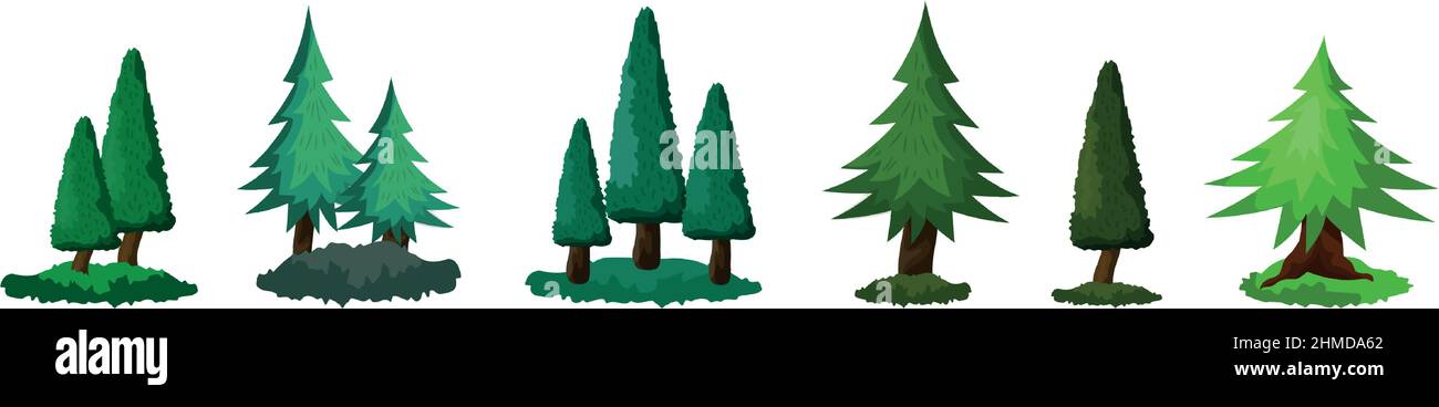 Set of 6 pcs spruce on a white background - Vector illustration Stock ...