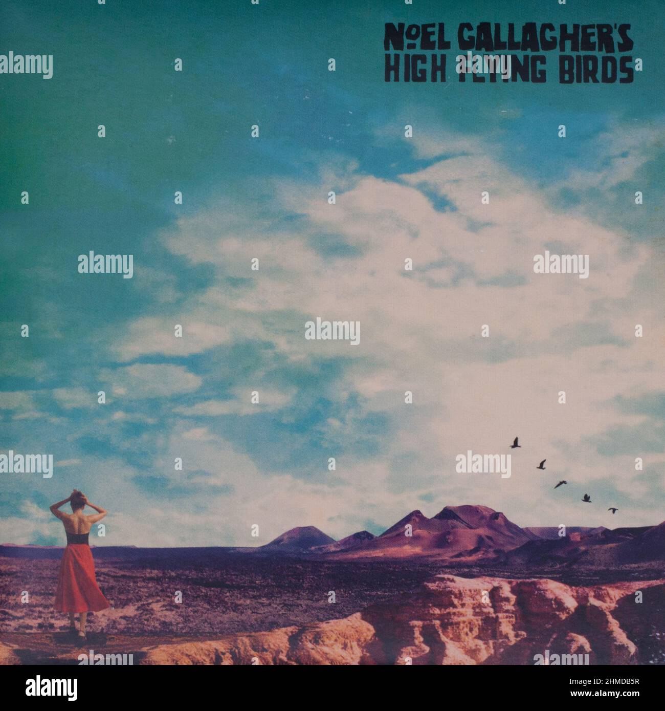 Bbc birds hi-res stock photography and images - Alamy