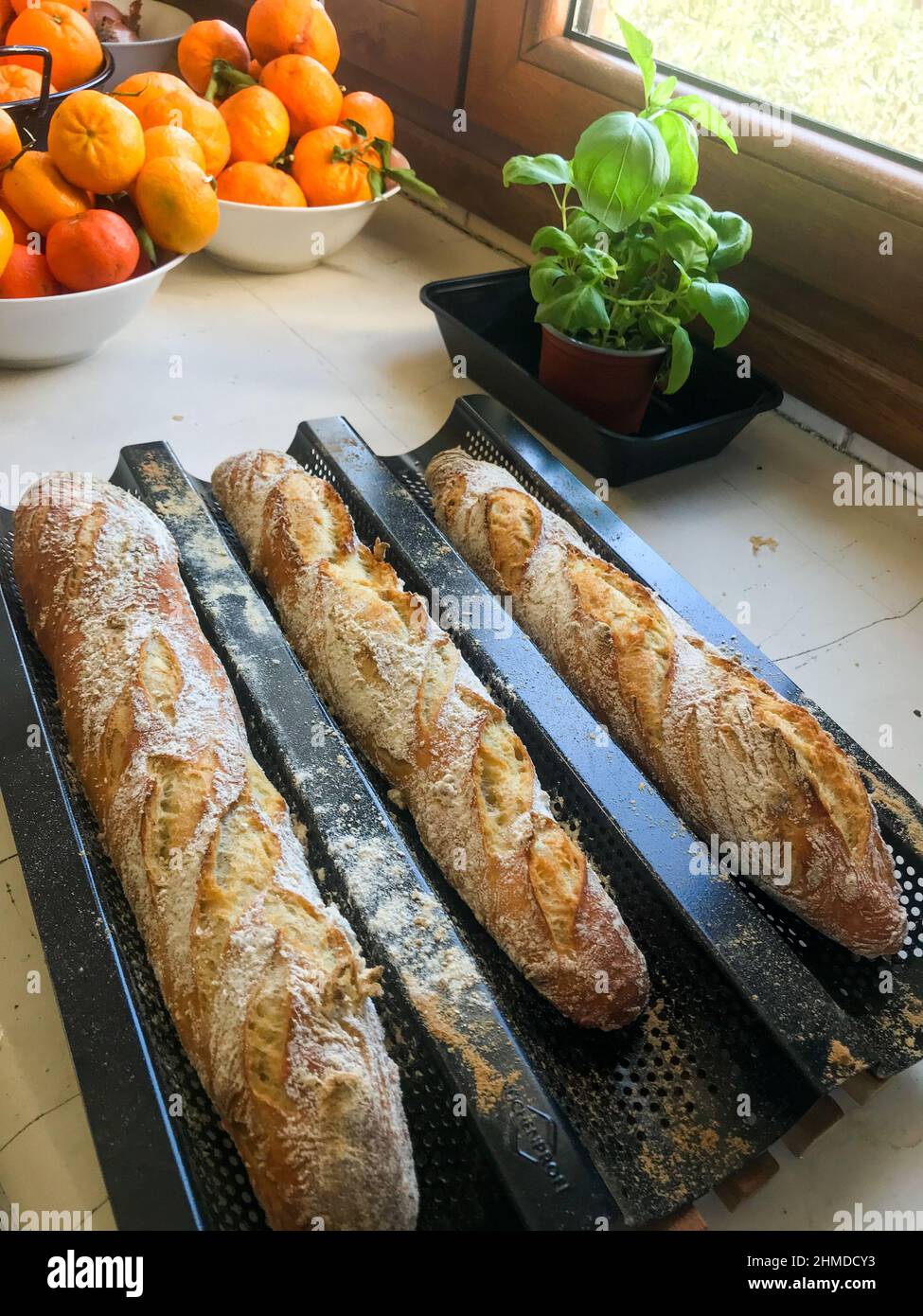 Baguette breads in tray beside window at home Stock Photo - Alamy