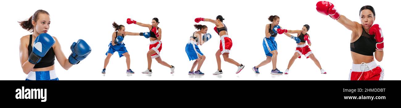 Collage. Two woman professional boxers boxing isolated on white studio ...