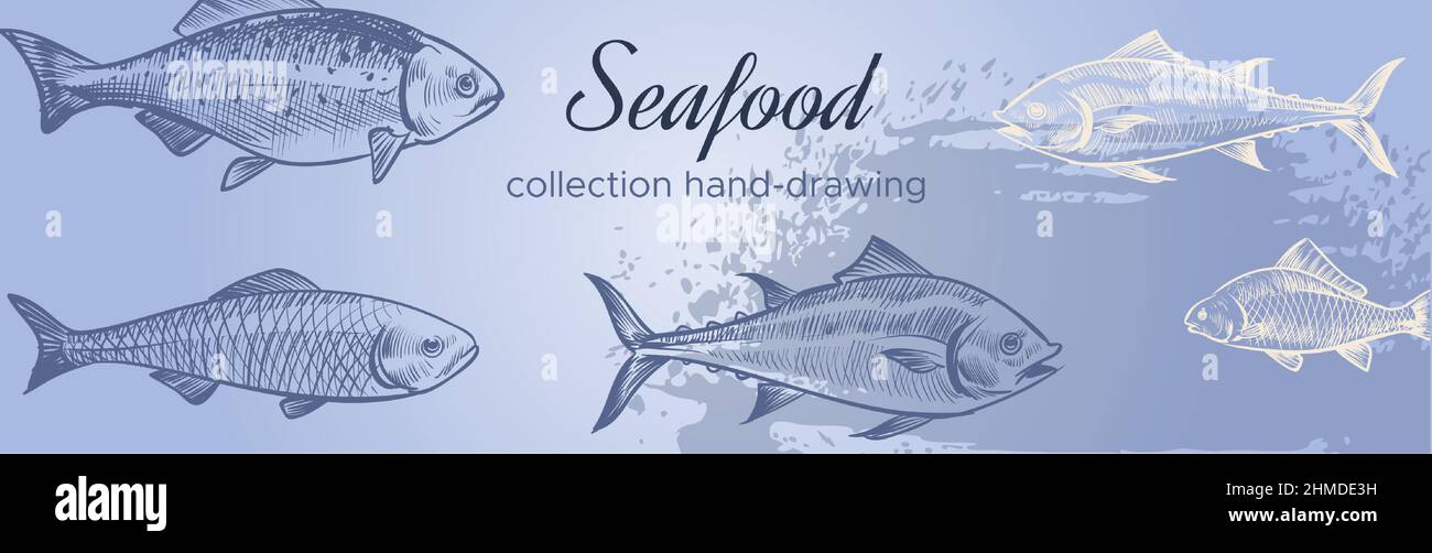 Seafood horizontal banner. Marine fish advertising in hand drawn style ...
