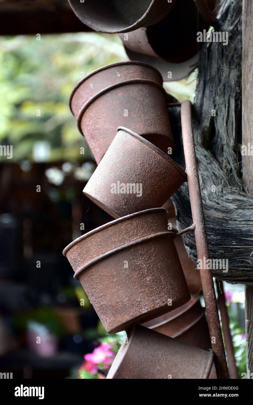 Planters hanging from tree hi-res stock photography and images - Alamy