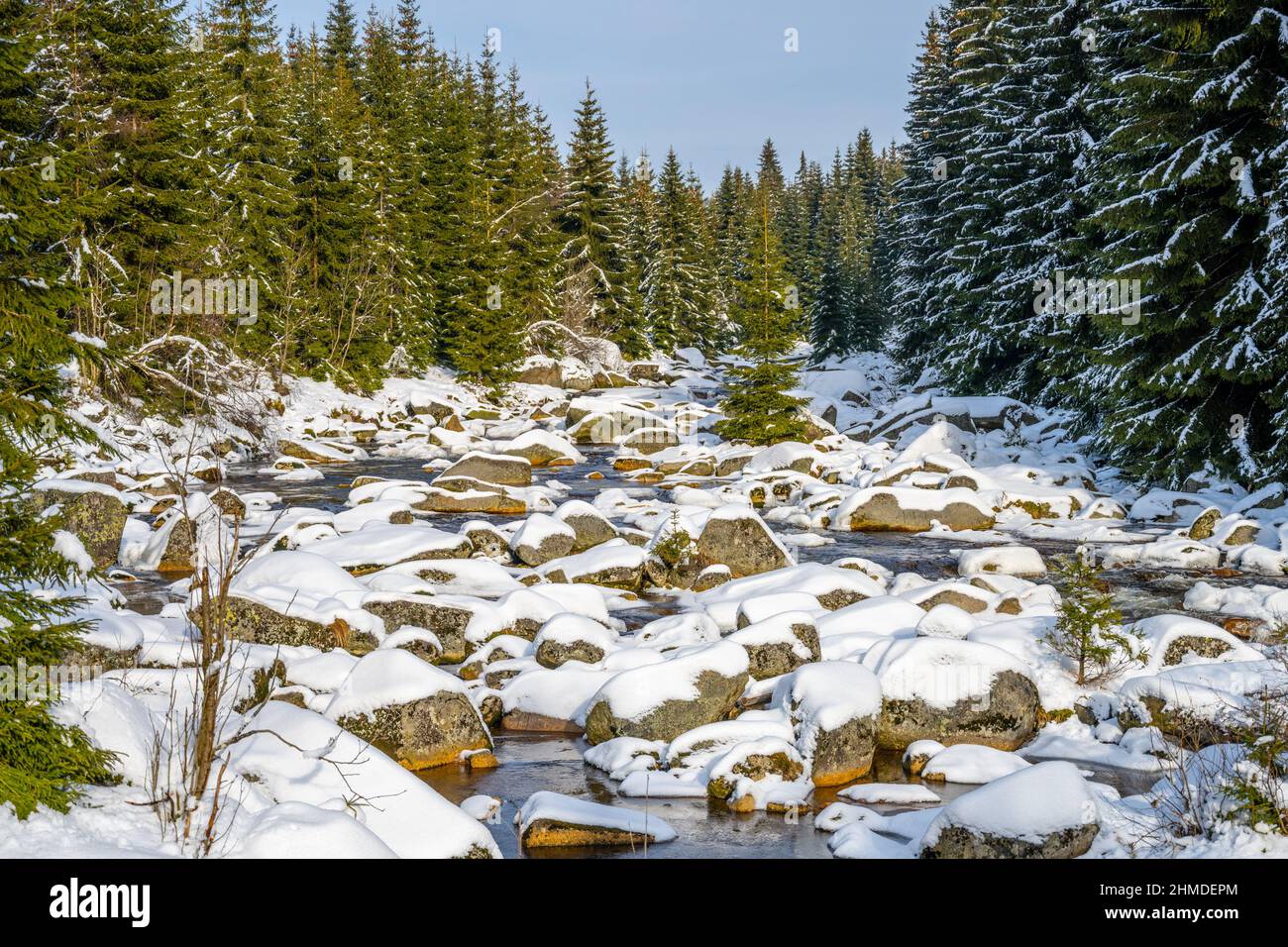 Jizera river in winter time Stock Photo - Alamy
