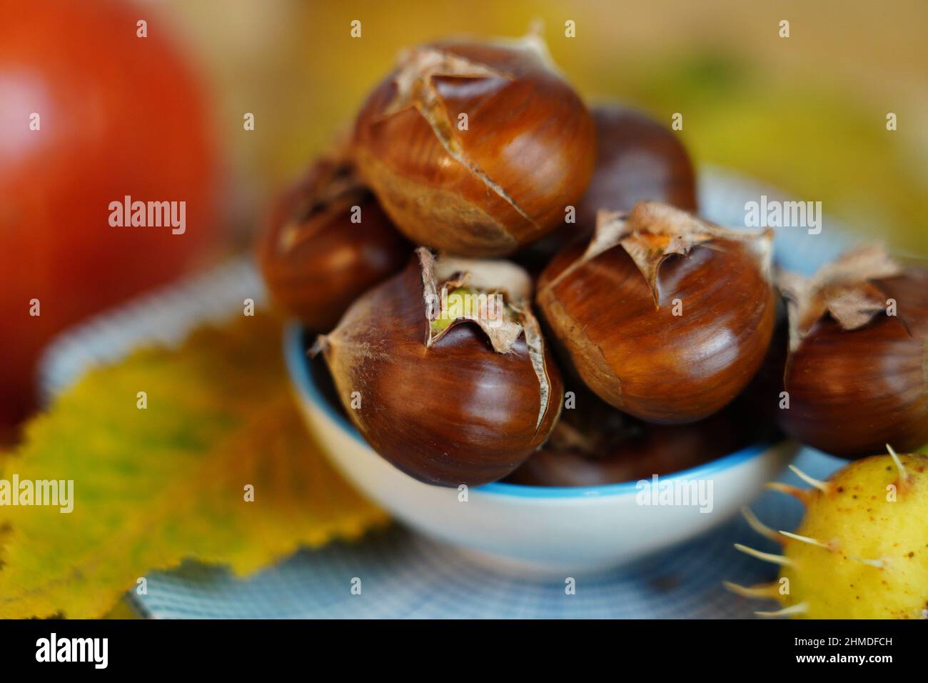 Esskastanien hi-res stock photography and images - Alamy