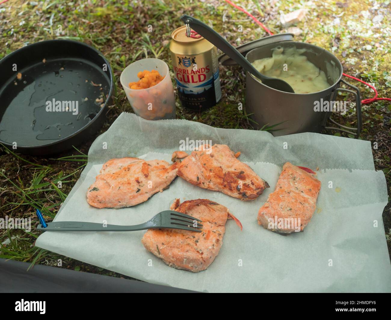 Fried red trout fish fillet of freshly caught arctic char with with ...