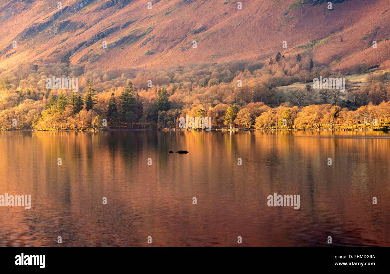 Sunrise at Derwentwater, Lake District England UK Stock Photo - Alamy