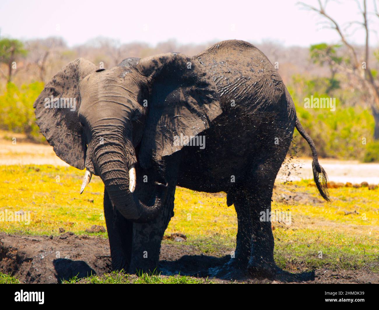 Mud splash hi-res stock photography and images - Alamy