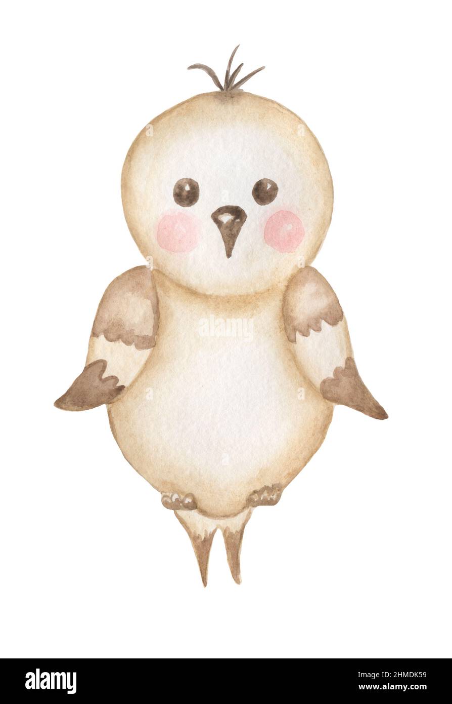 Cute Boho Animal Clipart, Watercolor hand drawn Sparrow bird ...