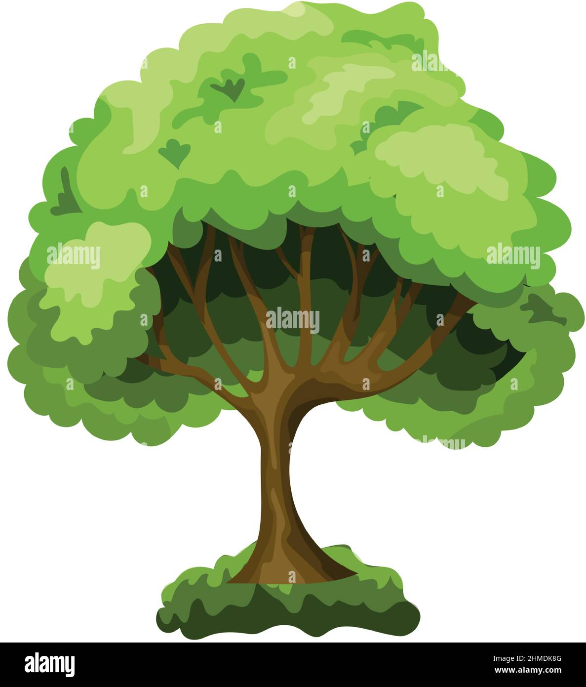 Realistic green deciduous tree isolated on white background - Vector ...