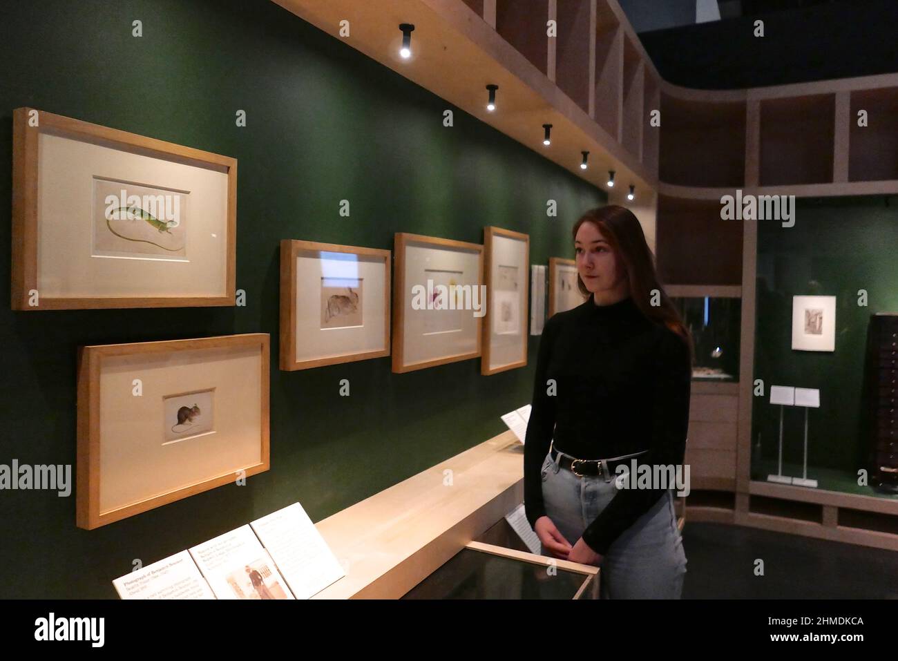 This family friendly exhibition will take visitors on a journey to ...