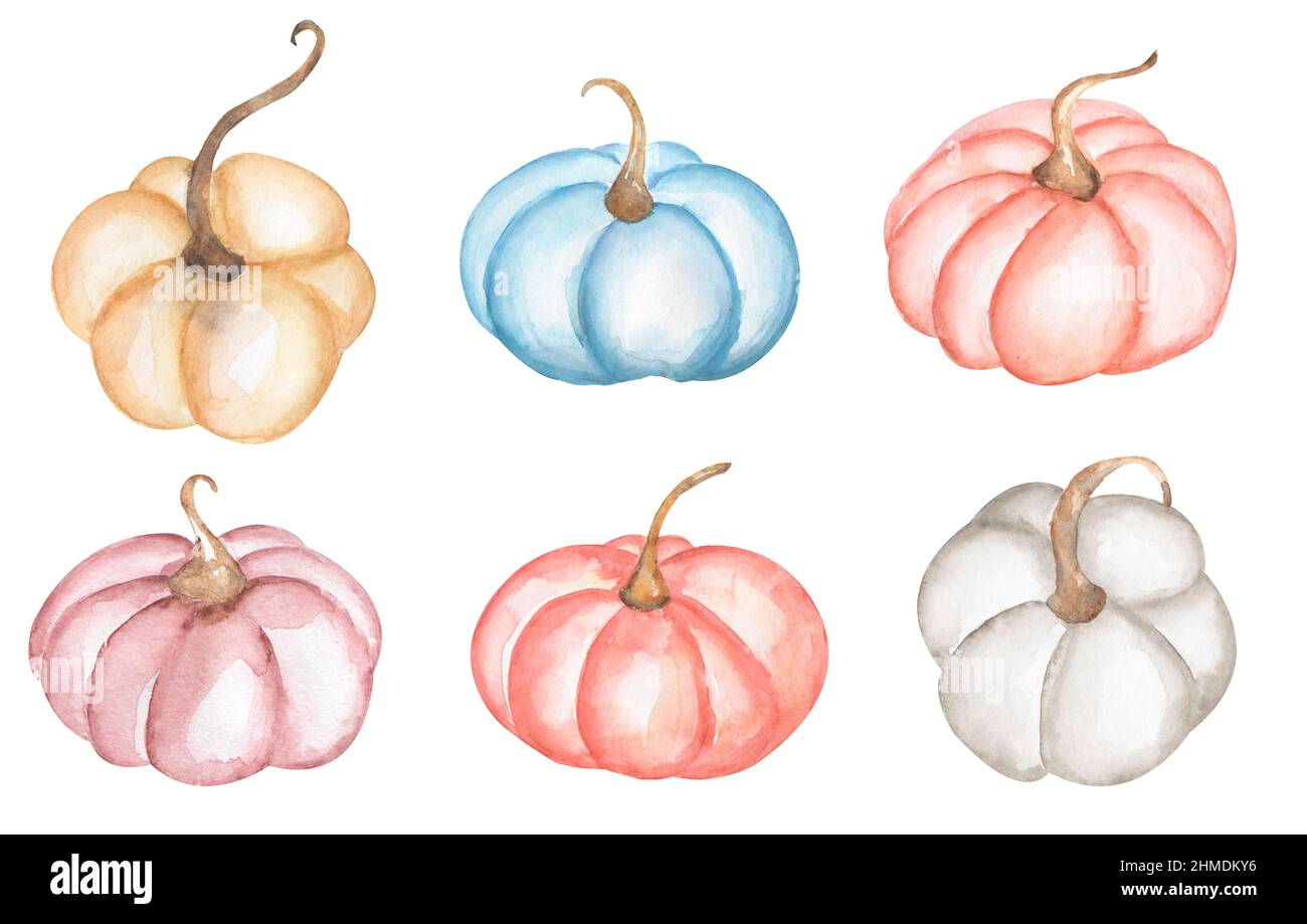 Pumpkin Clipart set. Watercolor delicate color pumpkins illustration ...