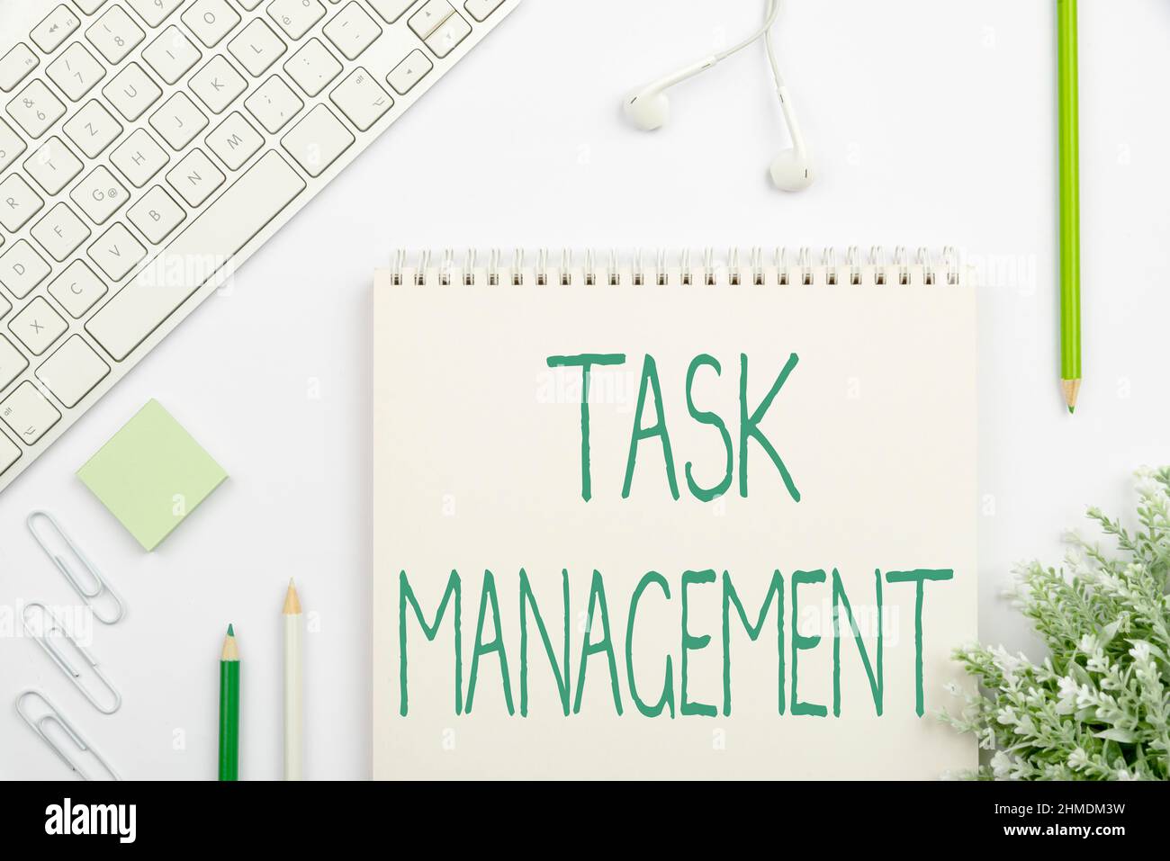 Text caption presenting Task Management. Concept meaning the process of ...