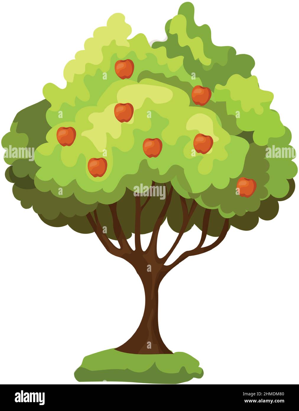 Realistic green apple tree with red apples isolated on white background ...