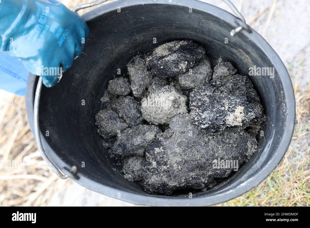 Rechlin, Germany. 09th Feb, 2022. A man shows tar-like lumps covered ...