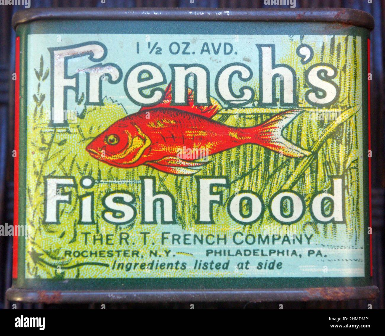 Scale breeding for fish reproduction hi-res stock photography and ...