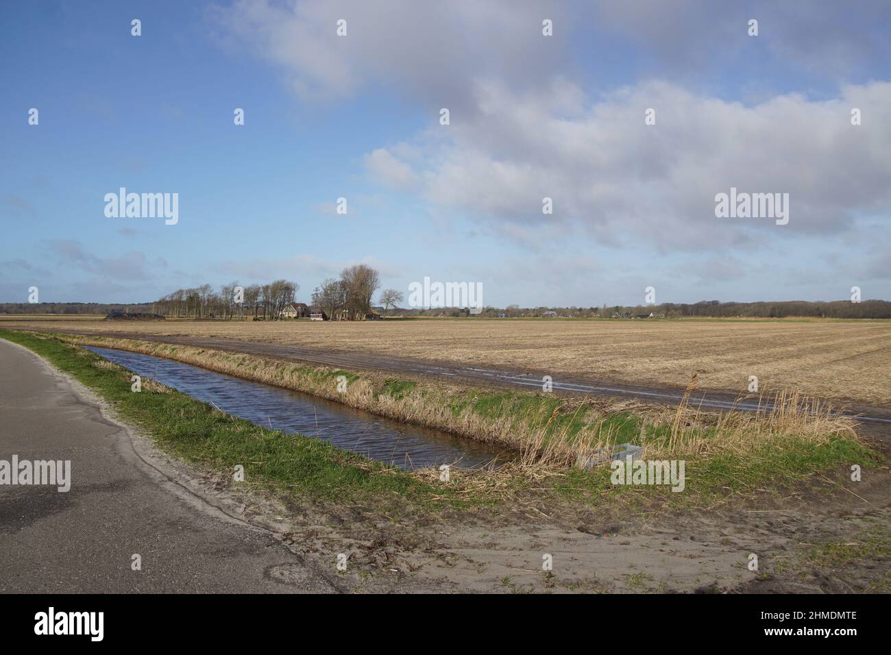 Ditch and bulb field in winter covered with straw to protect the bulbs ...