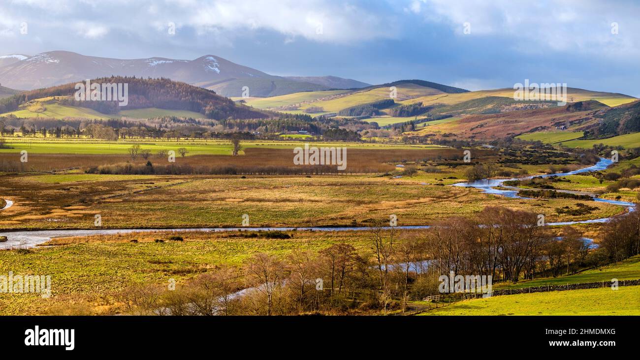 Tweed valley farm hi-res stock photography and images - Alamy