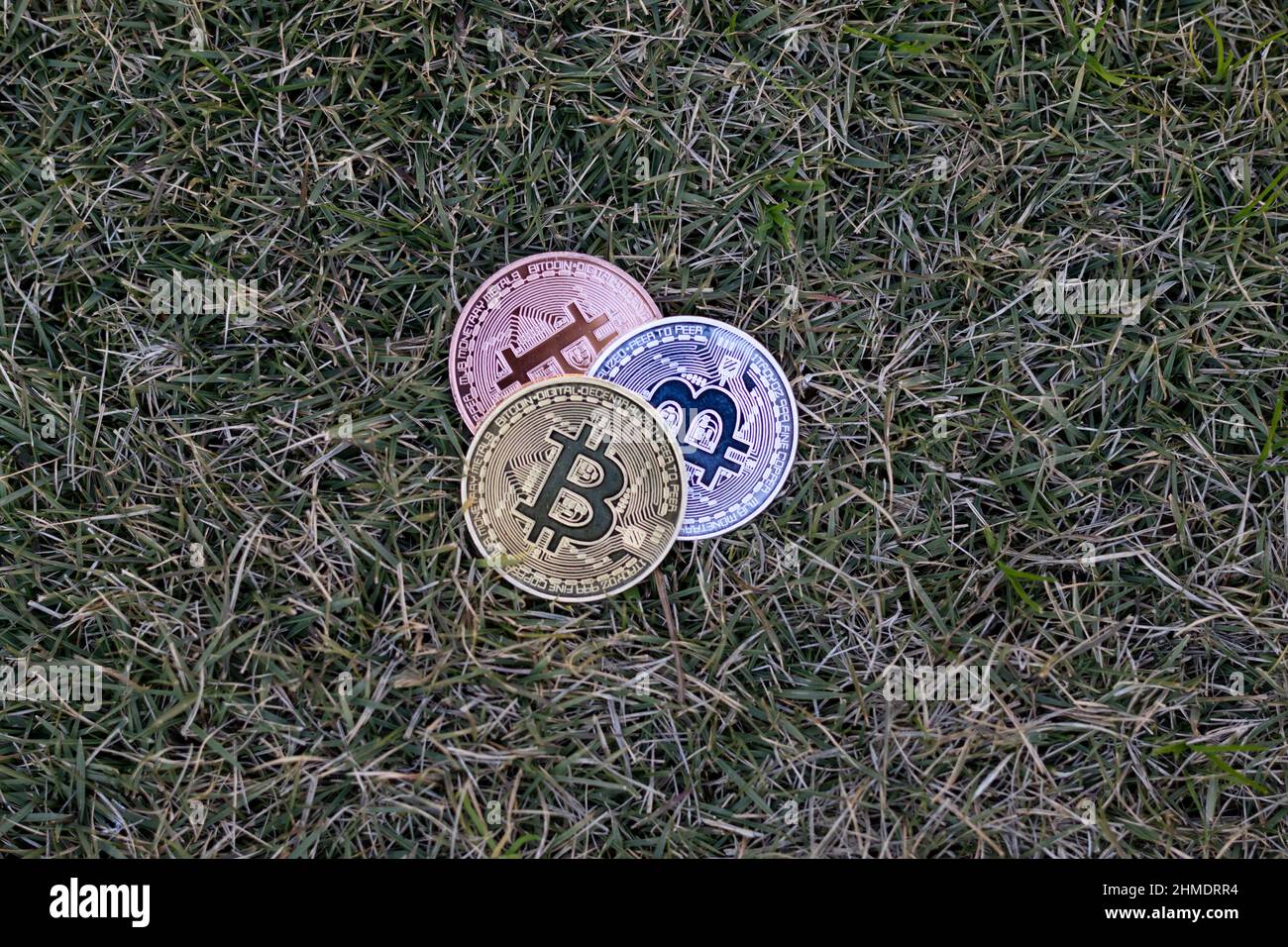 Bitcoin crypto currency coins laying in a grass Stock Photo - Alamy