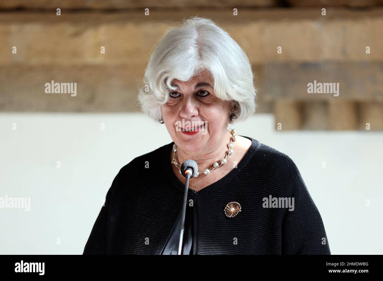 in the photo the director of the Salinas Museum in Palermo Caterina ...