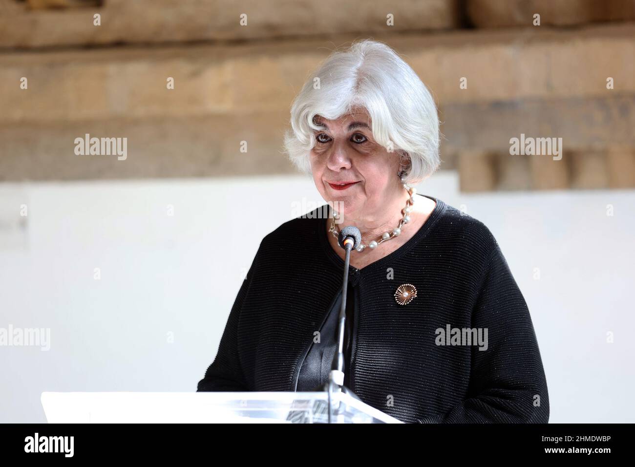 in the photo the director of the Salinas Museum in Palermo Caterina ...