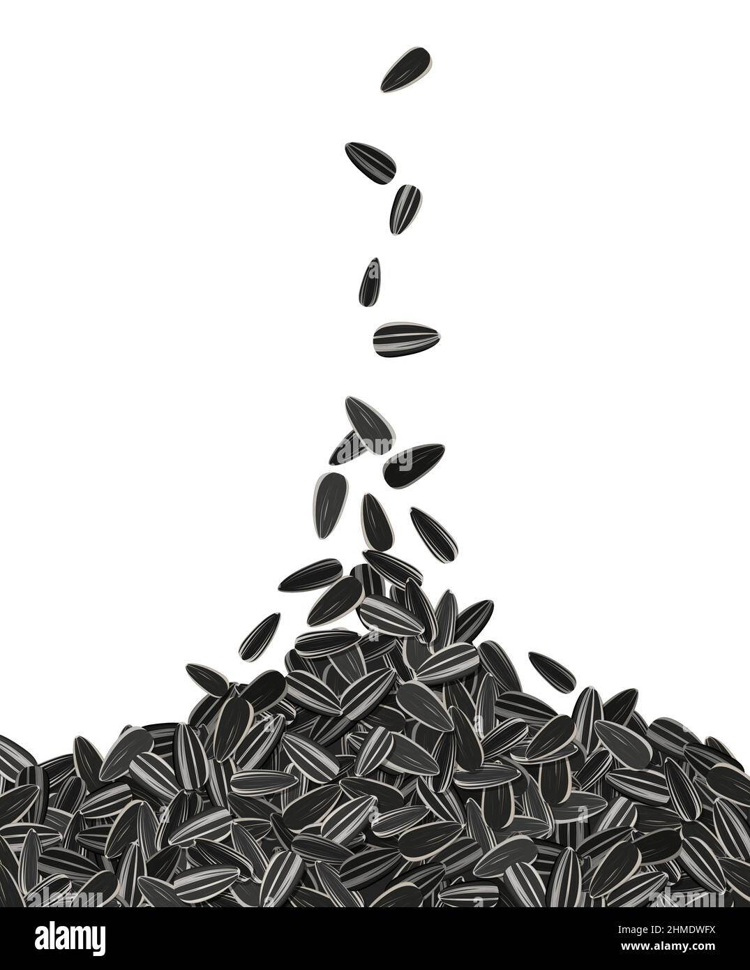 Sunflower seeds falling from top healthy snack. Roasted seed. Vector ...