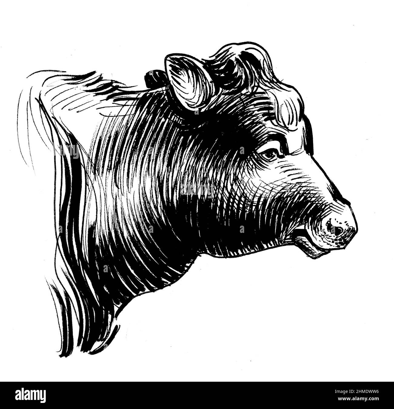 B lack Black and White Stock Photos & Images - Alamy