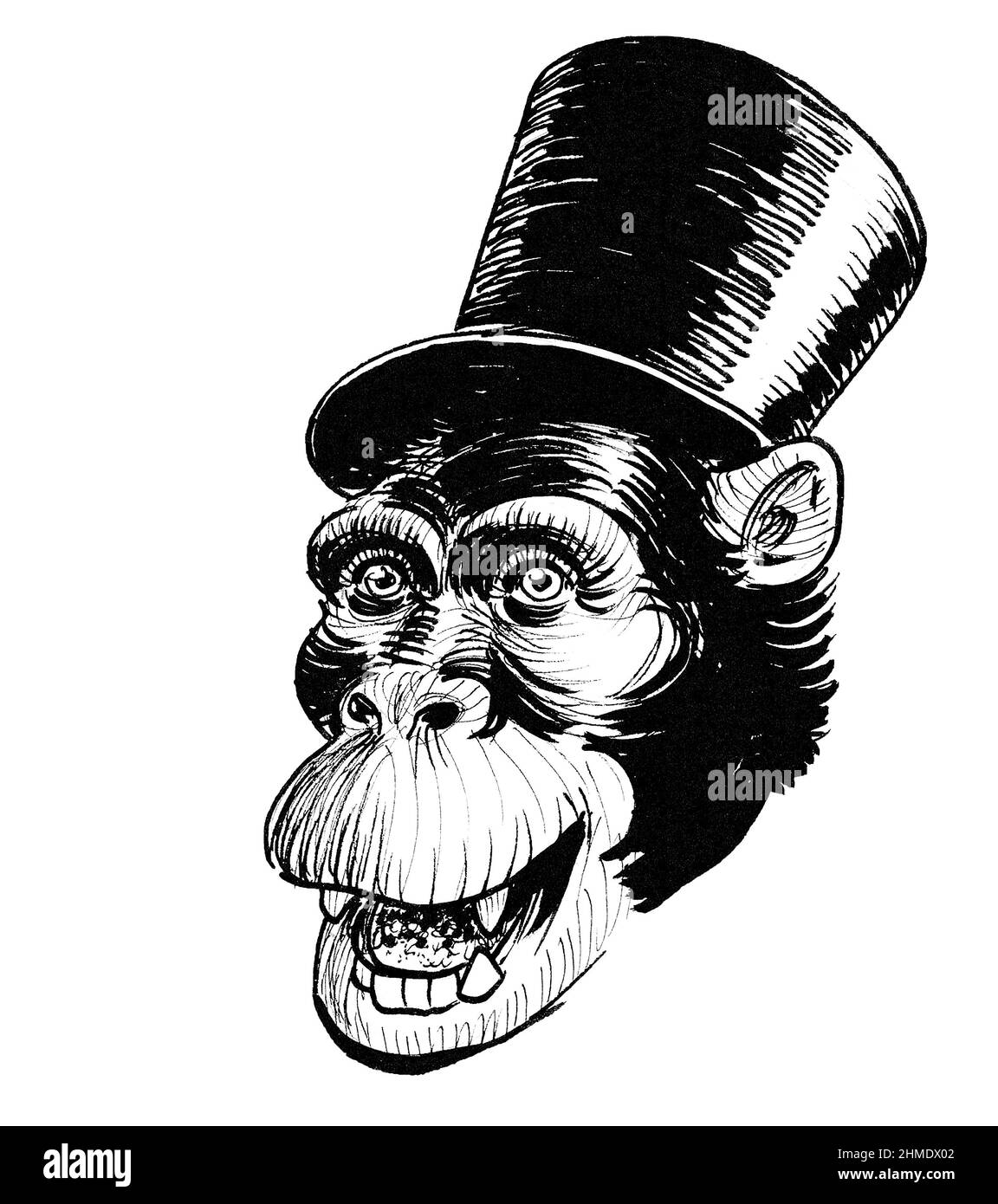 Chimp in hat. Ink black and white drawing Stock Photo - Alamy