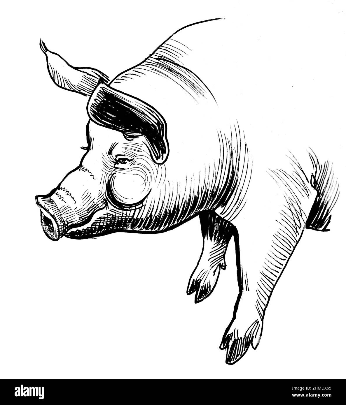 Fat animal drawing hi-res stock photography and images - Alamy