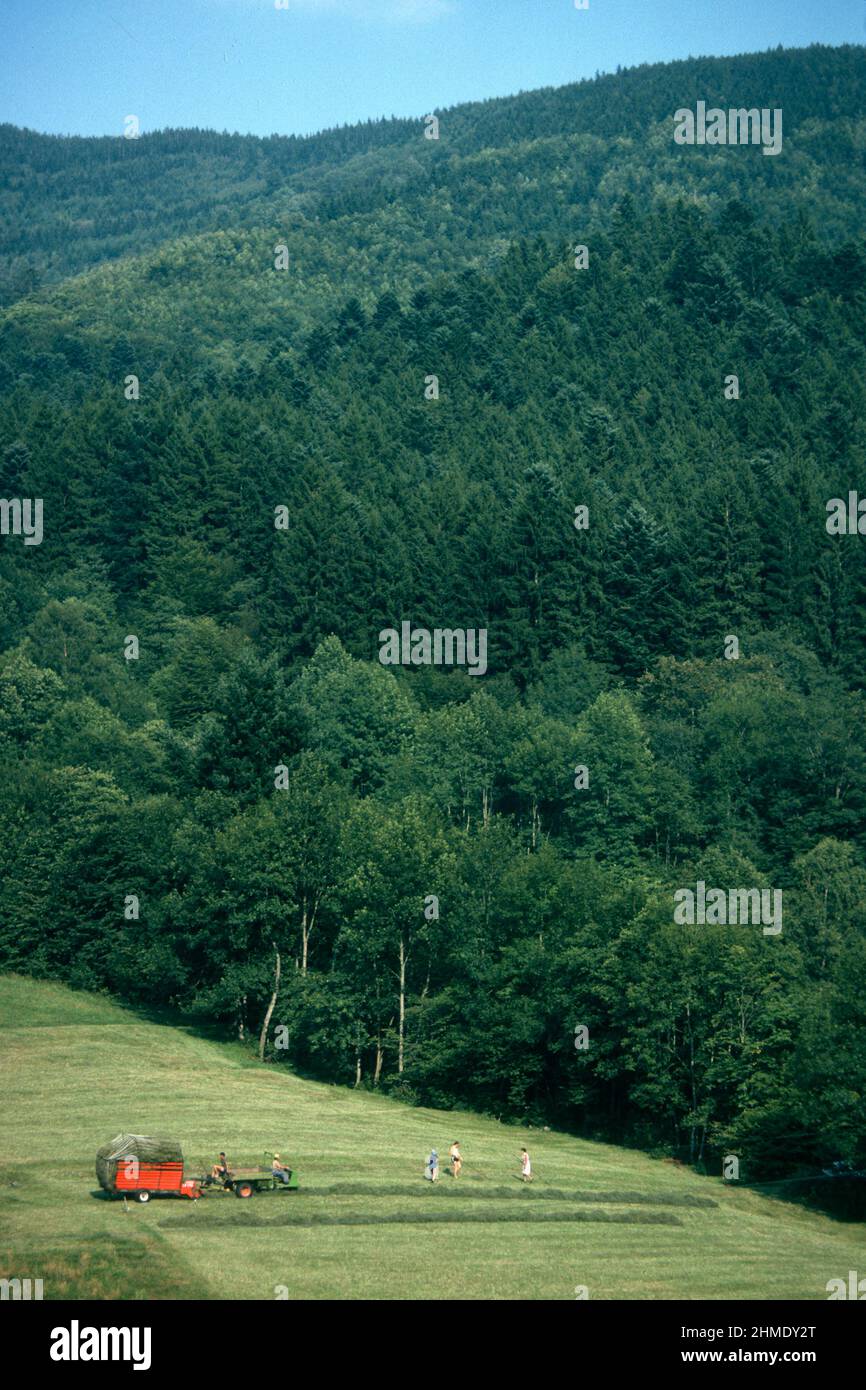 Black Forest farmland with family farming in the distance in 1981 ...
