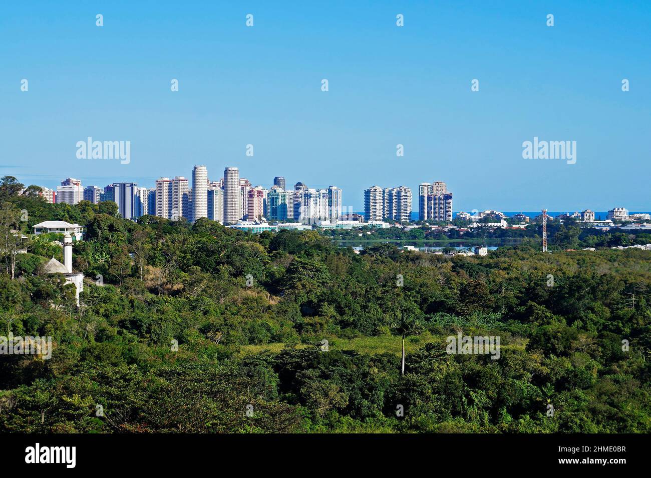 Tijuca forest rio de hi-res stock photography and images - Alamy
