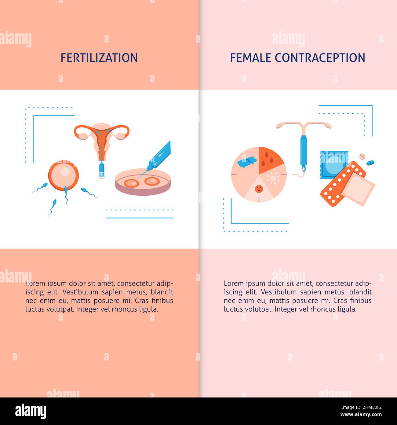Fertilization and female contraception banner templates. Vector ...