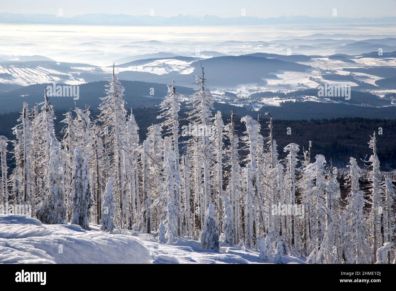 Winter in Bavarian National Park, Germany Stock Photo - Alamy