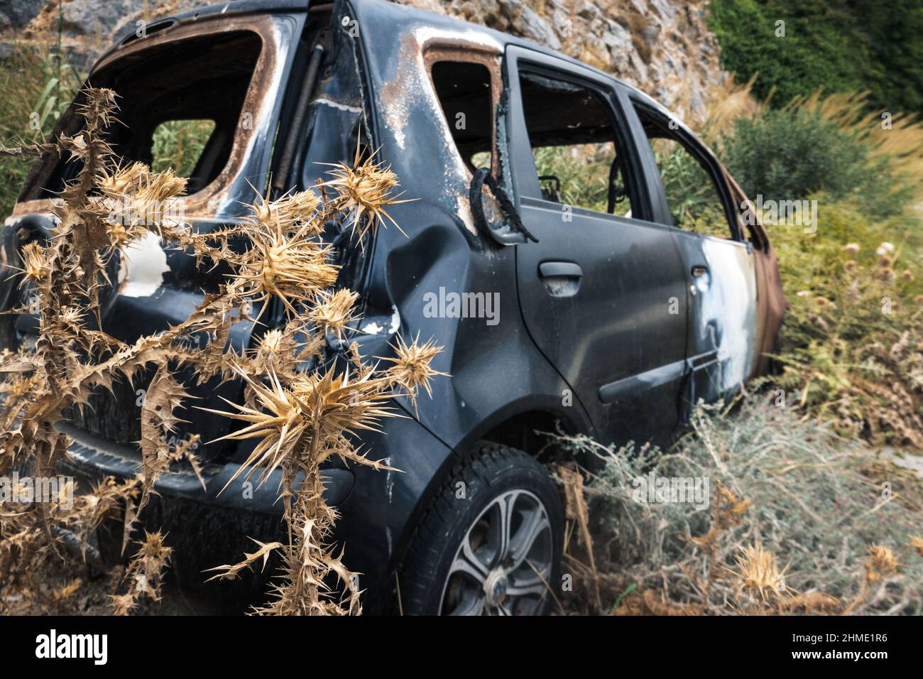 Abandoned rusty broken car surrounded by bushes Stock Photo - Alamy