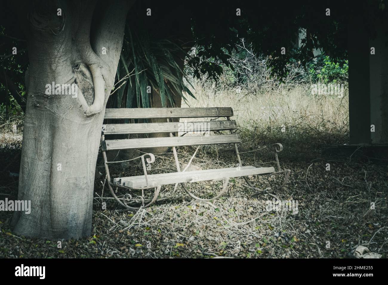 Abandoned broken bench beside tree trunk Stock Photo - Alamy