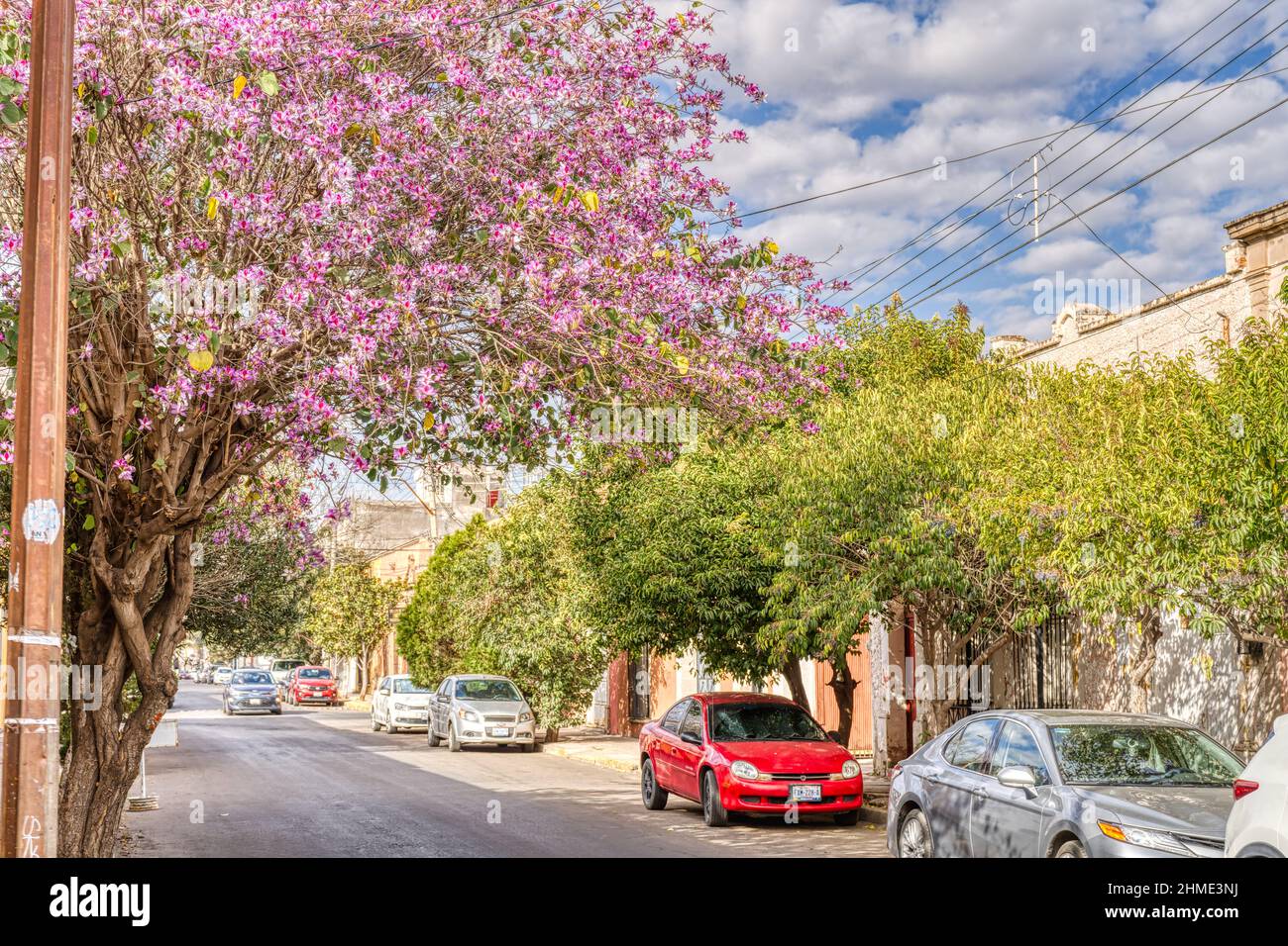 Durango Historical Center, Mexico Stock Photo - Alamy