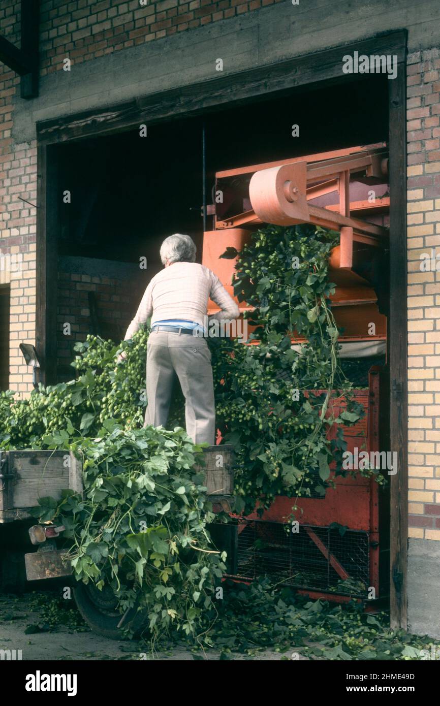 Hop picking machine hi-res stock photography and images - Alamy