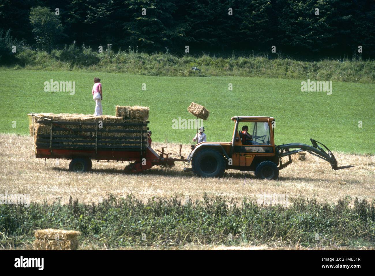 Family harvesting hay in their fields in 1981, Beuron, Baden ...